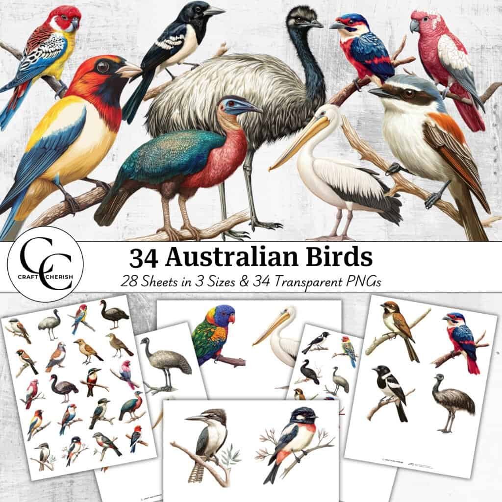 34 Australian Birds Transparent Images, Collage Sheets, Fussy Cut ...