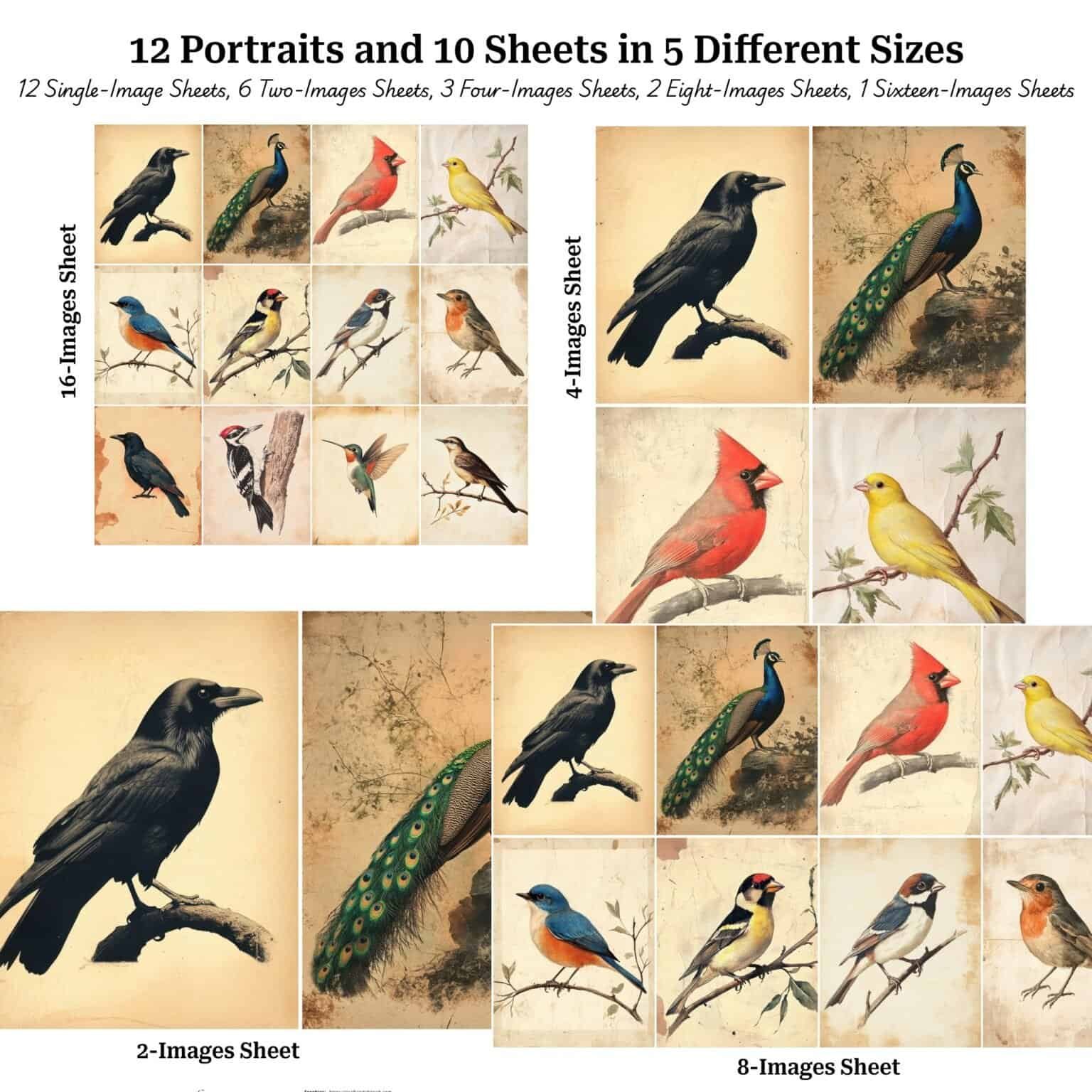 12 Free Vintage Birds Images – Printable Sheets & Ephemera for Junk ...