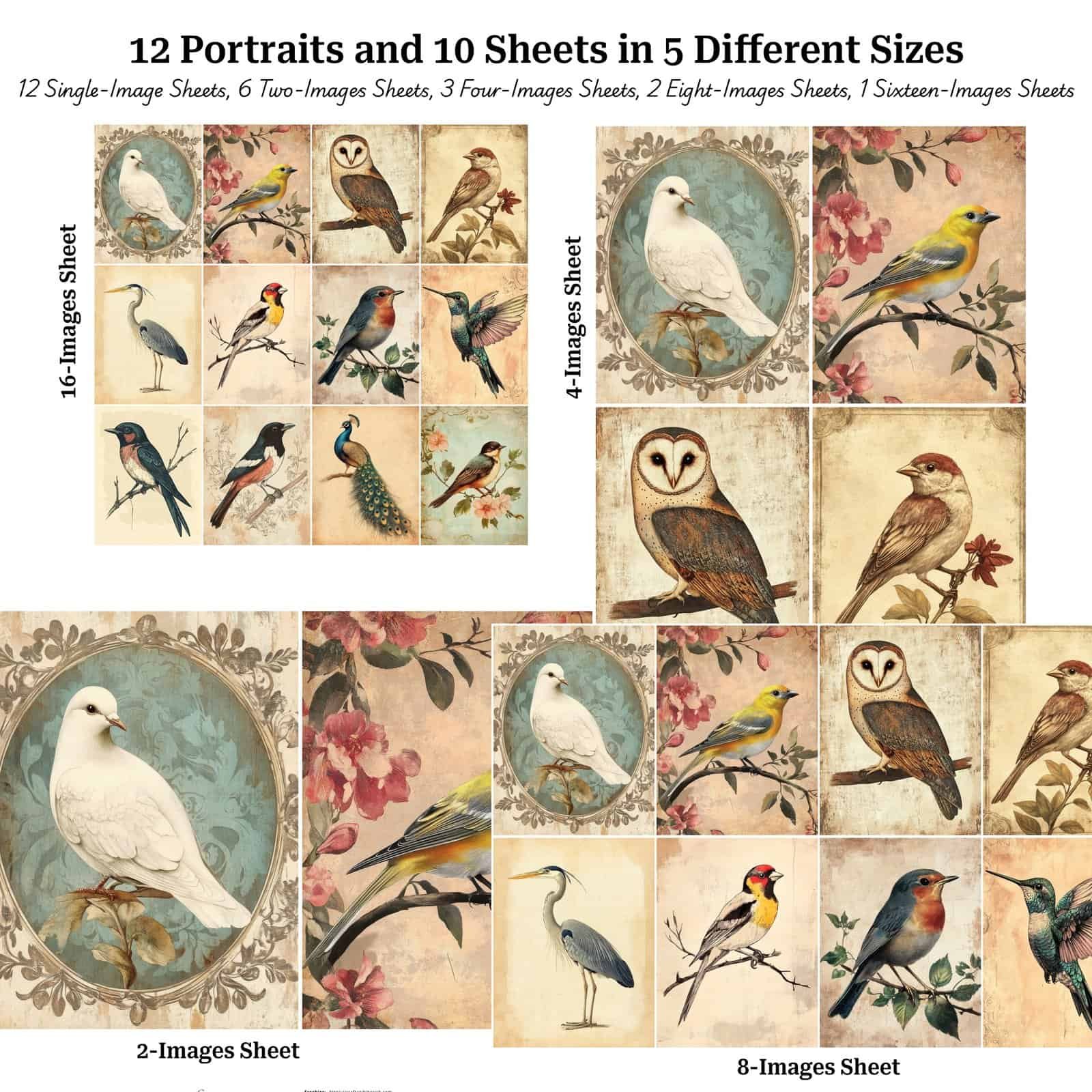 12 Free Vintage Bird Portrait Images – Victorian Scrap Style Ephemera ...