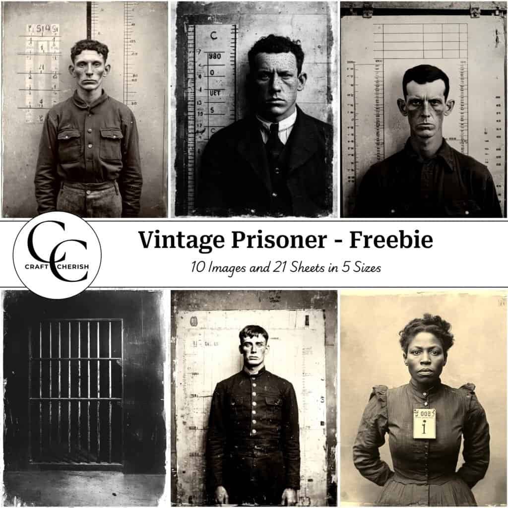 10 Free Vintage Criminal Mugshot Images – Vintage Prisoner Book ...